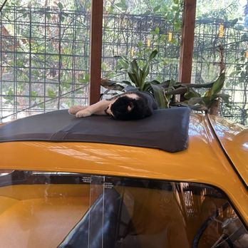 CAFE ON 27 - Updated November 2024 - 3240 Photos & 1885 Reviews - 1861 ...