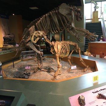 MISSISSIPPI MUSEUM OF NATURAL SCIENCE - Updated October 2025 - 229 ...