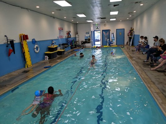 BLAKE SWIM SCHOOL - CLOSED - Updated March 2025 - 48 Photos & 69 ...