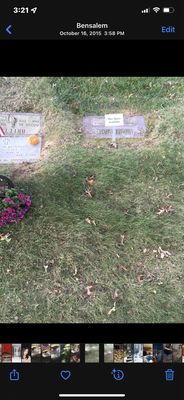 RESURRECTION CEMETERY - Updated January 2026 - 16 Reviews - 5201 ...