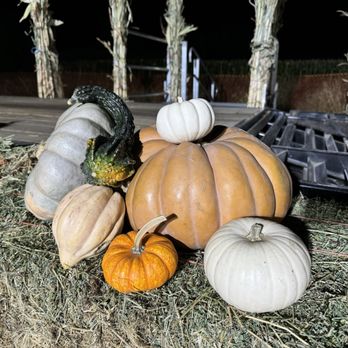 FERRARI FARMS - Updated July 2025 - 175 Photos & 68 Reviews - 4701 Mill ...