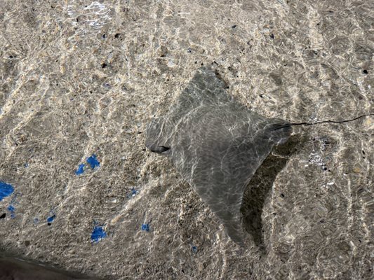 JUNGLE REEF - Updated December 2025 - 29 Photos & 26 Reviews - 750 ...