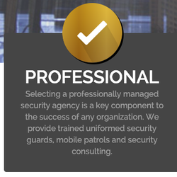 PRINCE SECURITY SERVICES - Security Services - 8701 Georgia Ave, Silver ...