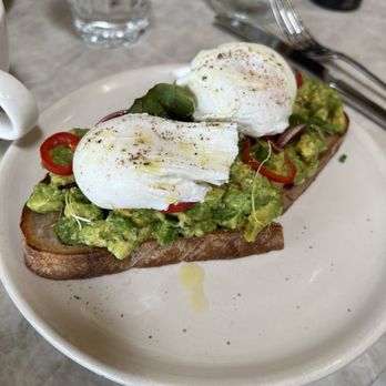 GREAT WHITE - Updated July 2024 - 1155 Photos & 615 Reviews - 244 N ...