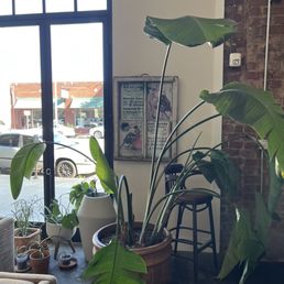 ADIOS - Updated July 2025 - 116 Photos & 44 Reviews - 2218 1st Ave N ...