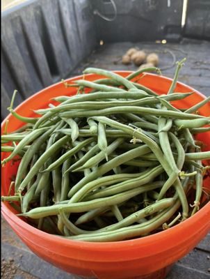 WILSON FAMILY FARM - Updated October 2025 - 16 Photos - 14552 OH-775 ...