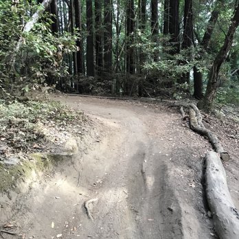 POGONIP - Updated August 2025 - 230 Photos & 40 Reviews - 333 Golf Club ...