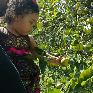 FULTON FARMS - Updated October 2025 - 46 Photos & 17 Reviews - 2393 S ...