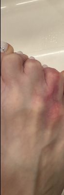 STEPHEN L TOCCI, MD - Updated December 2025 - 48 Reviews - 26401 Crown ...