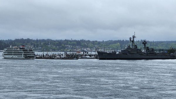MANETTE BRIDGE - Updated October 2025 - 22 Photos - Manette Bridge ...