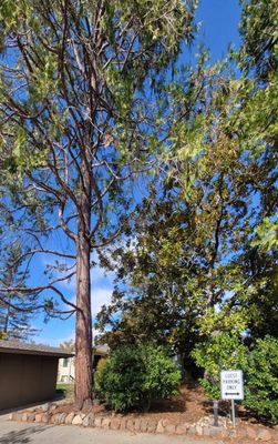 ROSSMOOR - Updated November 2025 - 22 Photos & 45 Reviews - 1001 Golden ...