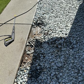 PROVEN TERMITE SOLUTIONS - Updated October 2024 - 133 Photos & 423 ...