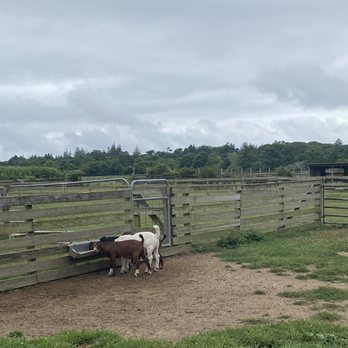 SUFFOLK COUNTY FARM - Updated January 2026 - 67 Photos & 16 Reviews ...