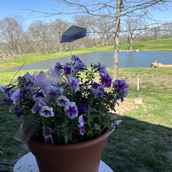 OSTRANDER FLOWERS & GREENHOUSES - Updated December 2025 - 1243 25th Ave ...