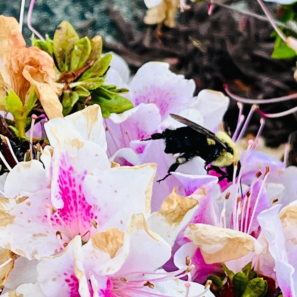 RUNAWAY BAY - Updated December 2025 - 35 Photos & 24 Reviews - 1800 S ...