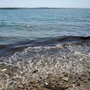 SANDY POINT BEACH - 25 Photos - Beaches - 620 Sandy Point Ave ...