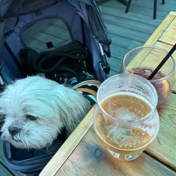 BRIDGE VIEW TAVERN & BEER GARDEN - Updated April 2025 - 1001 Photos ...