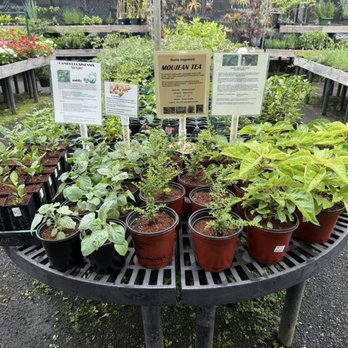 KOOLAU FARMERS - Updated December 2025 - 358 Photos & 85 Reviews - 45 ...