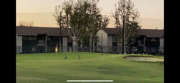 LAKE FOREST GOLF AND PRACTICE CENTER - Updated October 2025 - 94 Photos ...