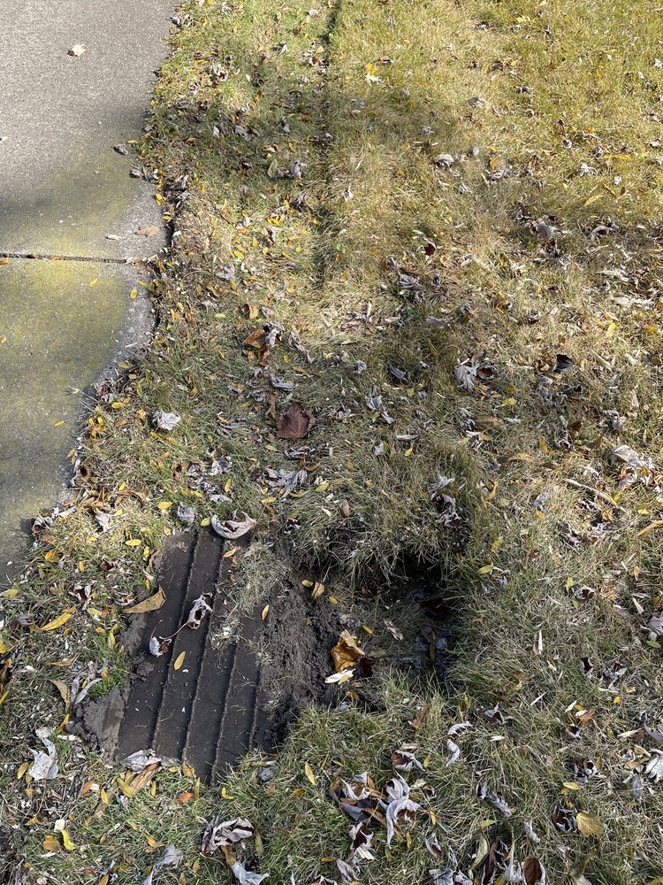 ALEX & SONS COMPLETE TREE SERVICE - Updated December 2025 - 11 Photos - 5511 Lapeer Rd, Clyde ...