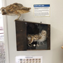 CALIFORNIA RAPTOR CENTER - 37 Photos & 15 Reviews - 1340 Equine Way ...