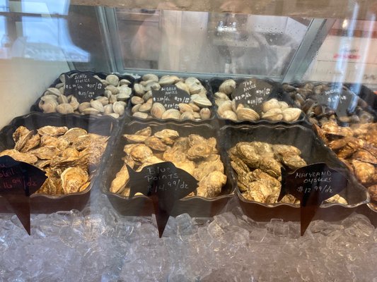 LEWES FISHHOUSE - Updated January 2025 - 30 Photos & 36 Reviews - 17696 ...