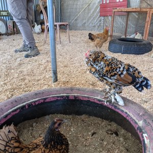 TANAKA FARMS - 4635 Photos & 1105 Reviews - Farms - 5380 3/4 University ...