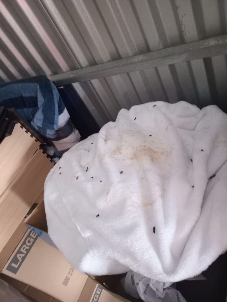 ISTORAGE - Updated July 2025 - 32 Photos - 540 SW 27th Ave, Fort ...