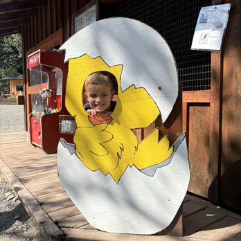 FAWN DOE ROSA - Updated October 2025 - 137 Photos & 45 Reviews - 2131 ...