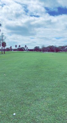 PALMETTO GOLF COURSE - Updated December 2025 - 37 Photos & 35 Reviews ...