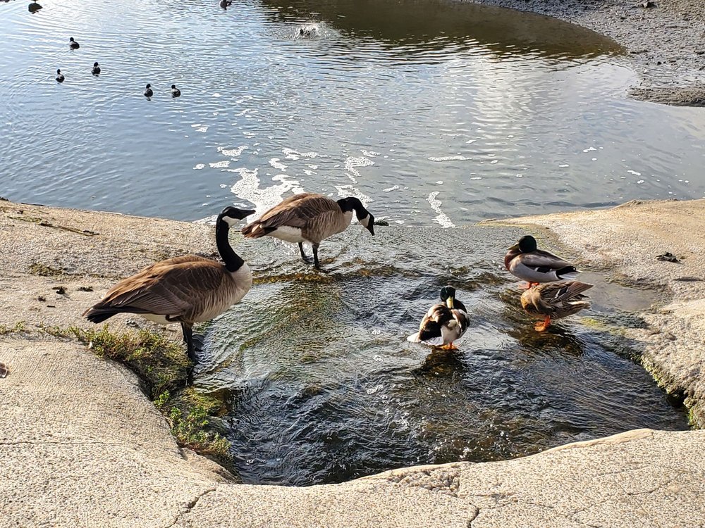 BACK BAY LOOP TRAIL - Updated December 2025 - 483 Photos & 169 Reviews ...