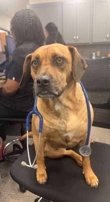 STEVEN W BAAK, MD - Updated December 2025 - 33 Photos - 3440 DePaul Ln ...