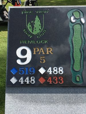 PINE VIEW GOLF CLUB - Updated October 2025 - 52065 Pulver Rd, Three ...