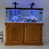 SEASIDE PUPS - Updated September 2025 - 5544 Cynthia Ln, Naples ...