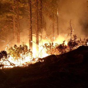 TRINITY ALPS RESORT - 34 Photos & 13 Reviews - 1750 Trinity Alps Rd ...