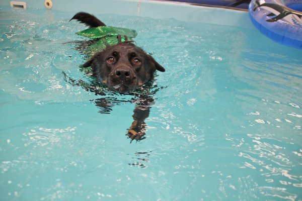 MORRIS ANIMAL INN - Updated December 2025 - 101 Photos & 108 Reviews ...