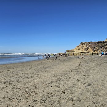 DEL MAR DOG BEACH - Updated September 2025 - 118 Photos & 34 Reviews ...