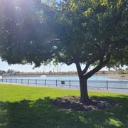 HIDDEN LAKE PARK - 160 Photos & 62 Reviews - N Milpitas Blvd & Escuela ...