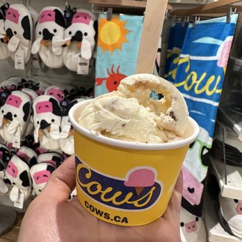 COWS - Updated July 2024 - 293 Photos & 177 Reviews - 138 Banff Avenue ...