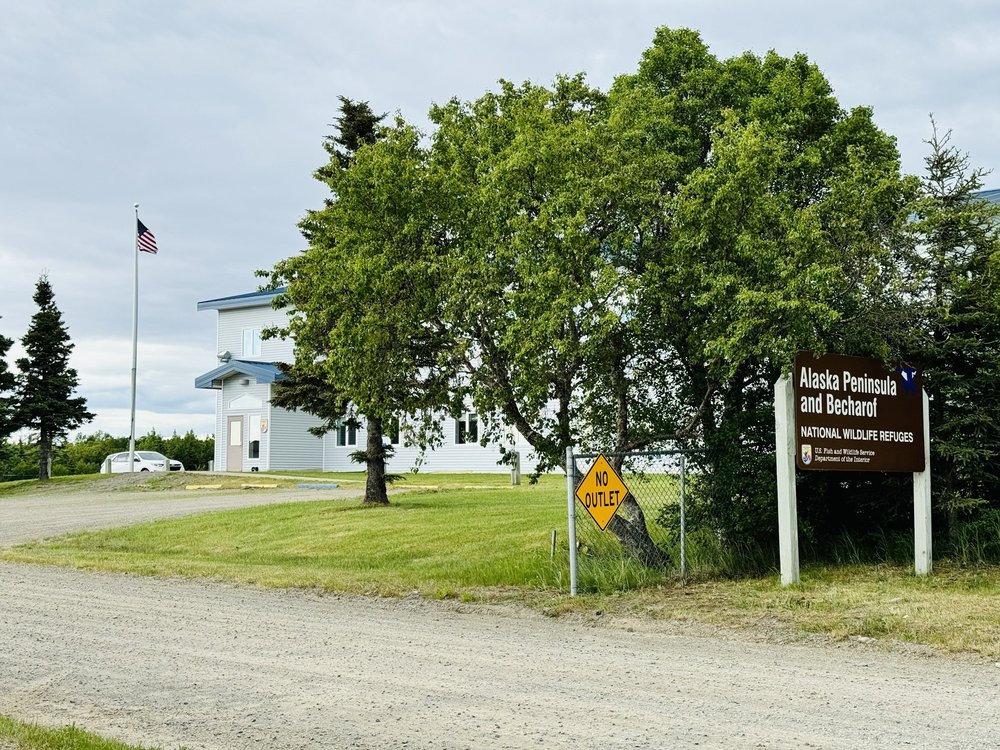 ASO FISH & GAME - Updated June 2024 - King Salmon, Alaska - Phone ...