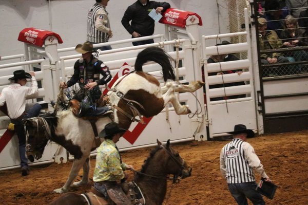 FORT WORTH STOCK SHOW & RODEO - 256 Photos & 64 Reviews - 3400 Burnett ...