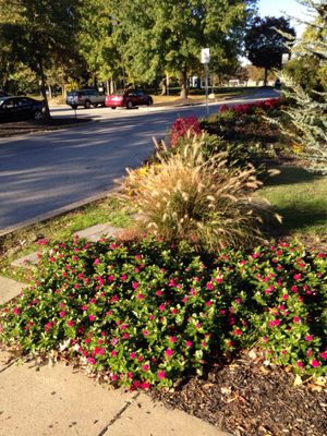 BRANDYWINE HUNDRED LIBRARY - Updated October 2025 - 20 Photos & 14 ...