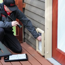 Best Mice Exterminator Near Me - October 2025: Find Nearby Mice ...