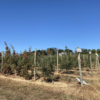 CROSS KEYS FARM - Updated September 2025 - 13 Photos - 3022 Cross Keys ...