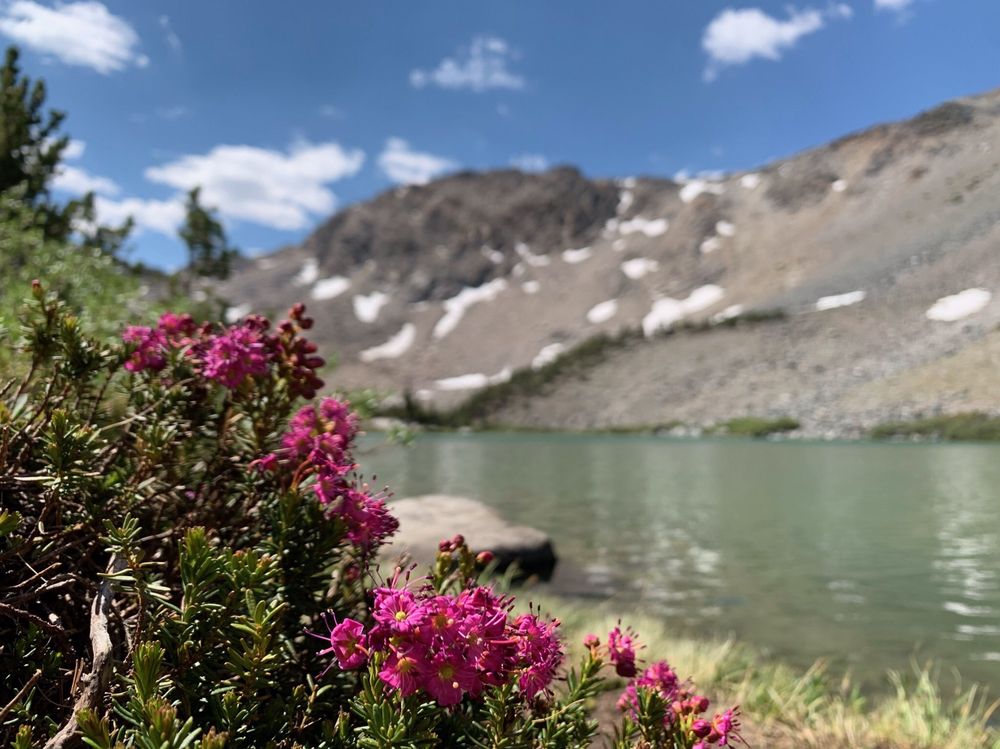 DUCK PASS TRAILHEAD - Updated August 2024 - 72 Photos & 13 Reviews ...