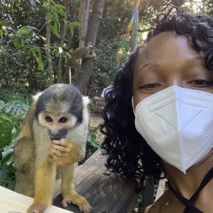 MONKEY JUNGLE - 370 Photos & 184 Reviews - 14805 SW 216th St, Miami, FL ...