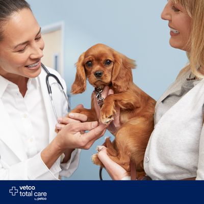 VETCO TOTAL CARE ANIMAL HOSPITAL - Updated October 2025 - 24 Photos ...