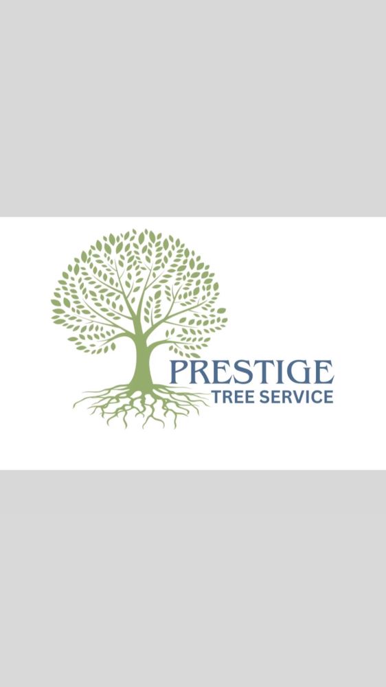 PRESTIGE TREE SERVICE - Updated May 2025 - Houston, Texas - Tree Services - Phone Number - Yelp