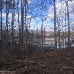 LAKE RIDGE PARK - 30 Photos & 14 Reviews - Boating - 12350 Cotton Mill ...