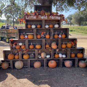 LITTLE FIELD FARMS - Updated October 2024 - 20 Photos - 9000 Horseshoe ...